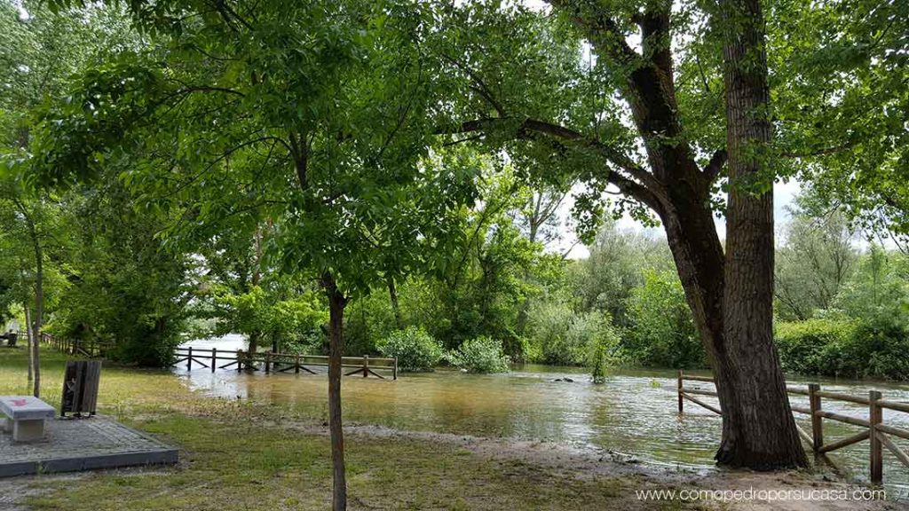 Crecida Rio Alberche en Escalona - Imágenes del río y alrededores