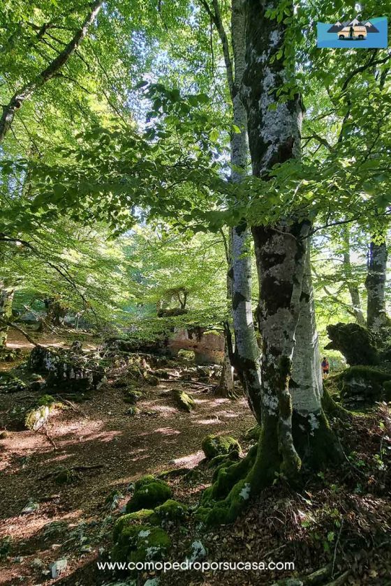 Fin de Semana Valle de Sakana - Parque Natural Urbasa - Andía