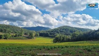 ruta-volcan-croscat-parque-natural-zona-volcanica-garrotxa-4 - Blog de ...